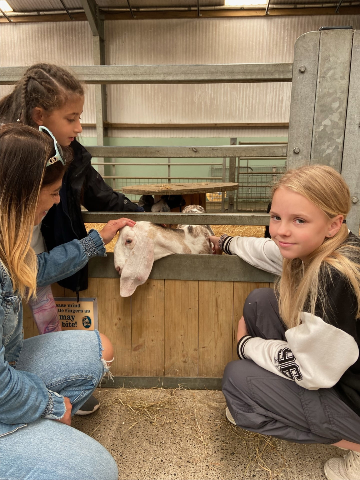 Folly Farm trip for our EAL group - Golden Grove School