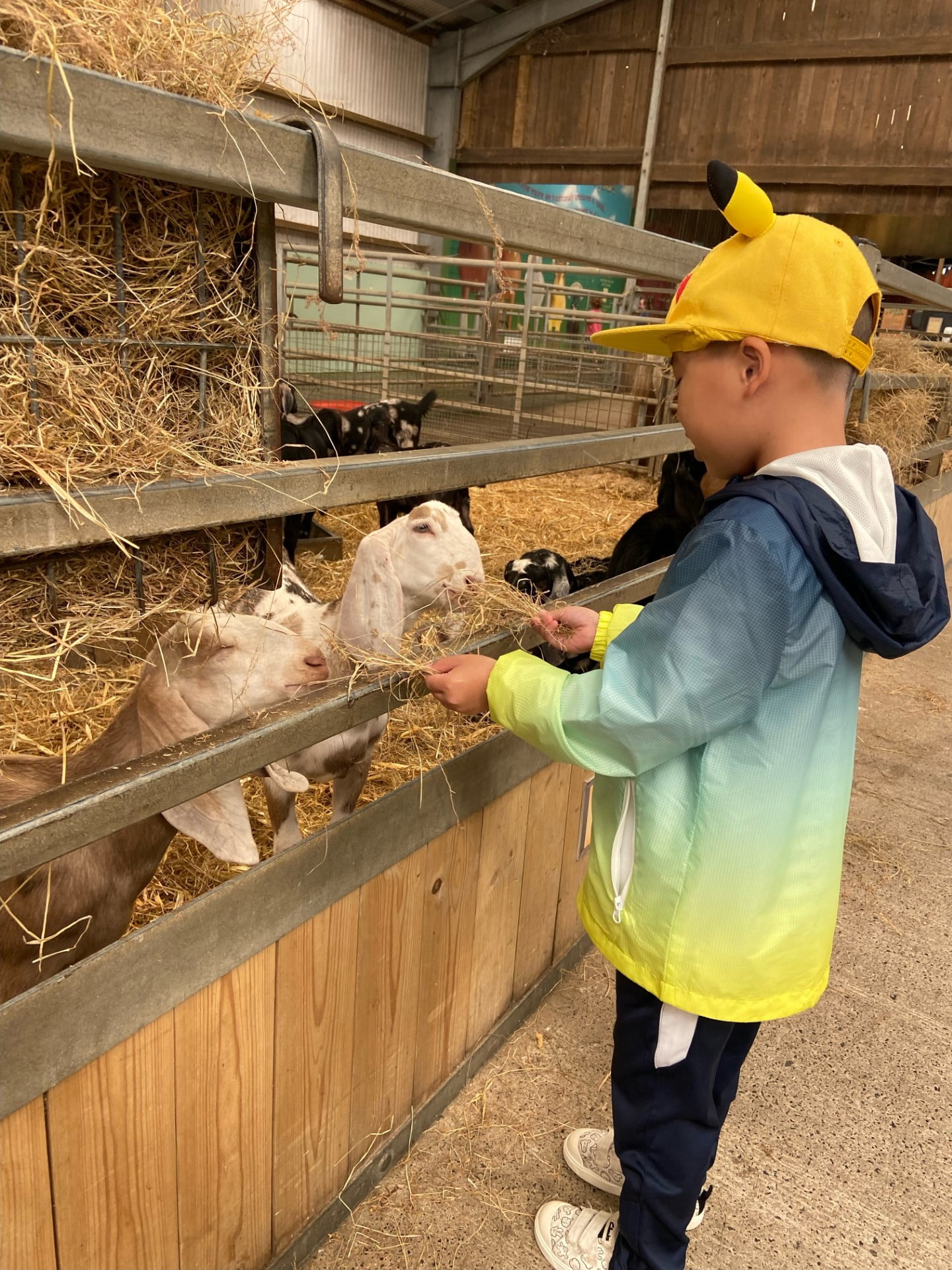 Folly Farm trip for our EAL group - Golden Grove School